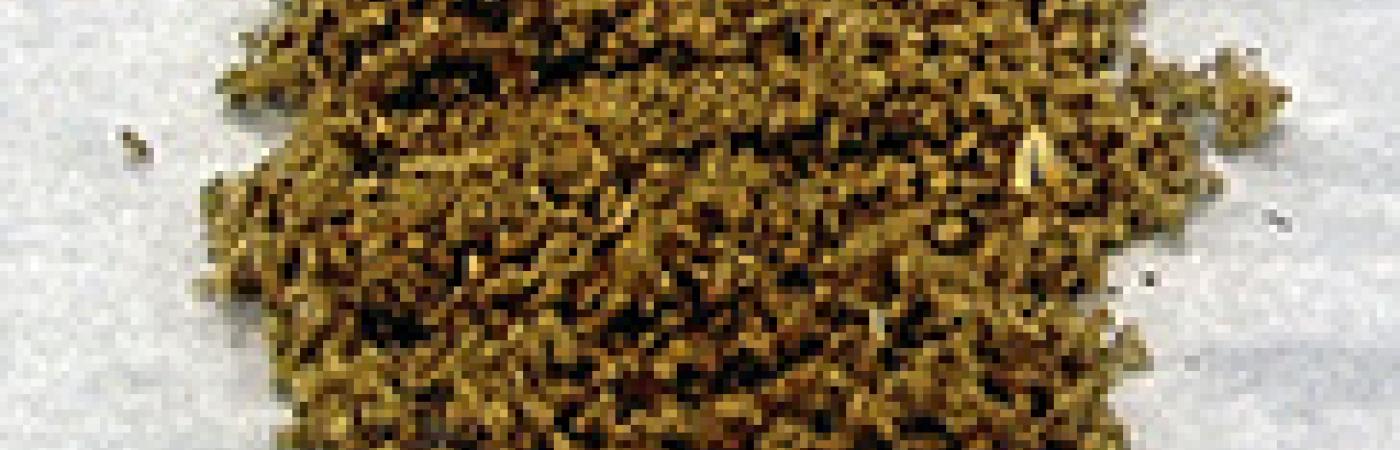 FDA issues warning after synthetic marijuana tainted with rat poison ... FDA issues warning after synthetic marijuana tainted with rat poison ...
